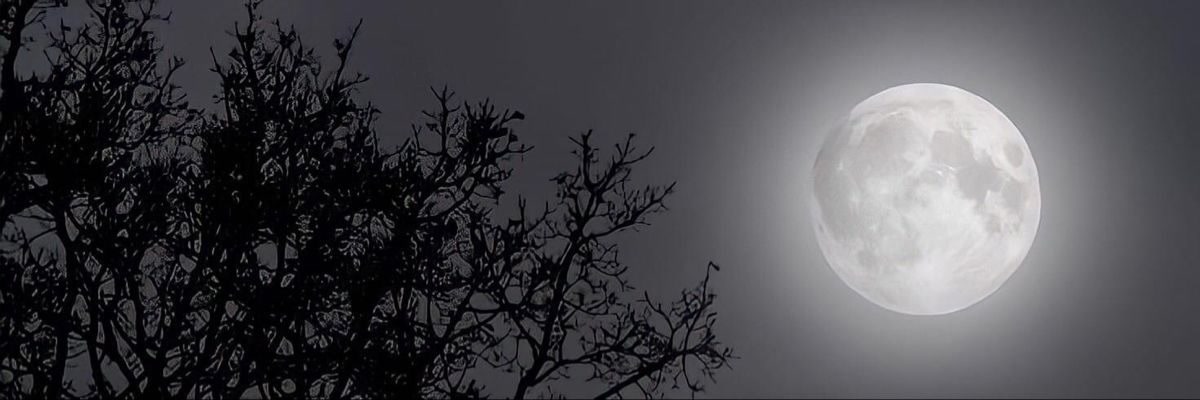 btar - Fortnite