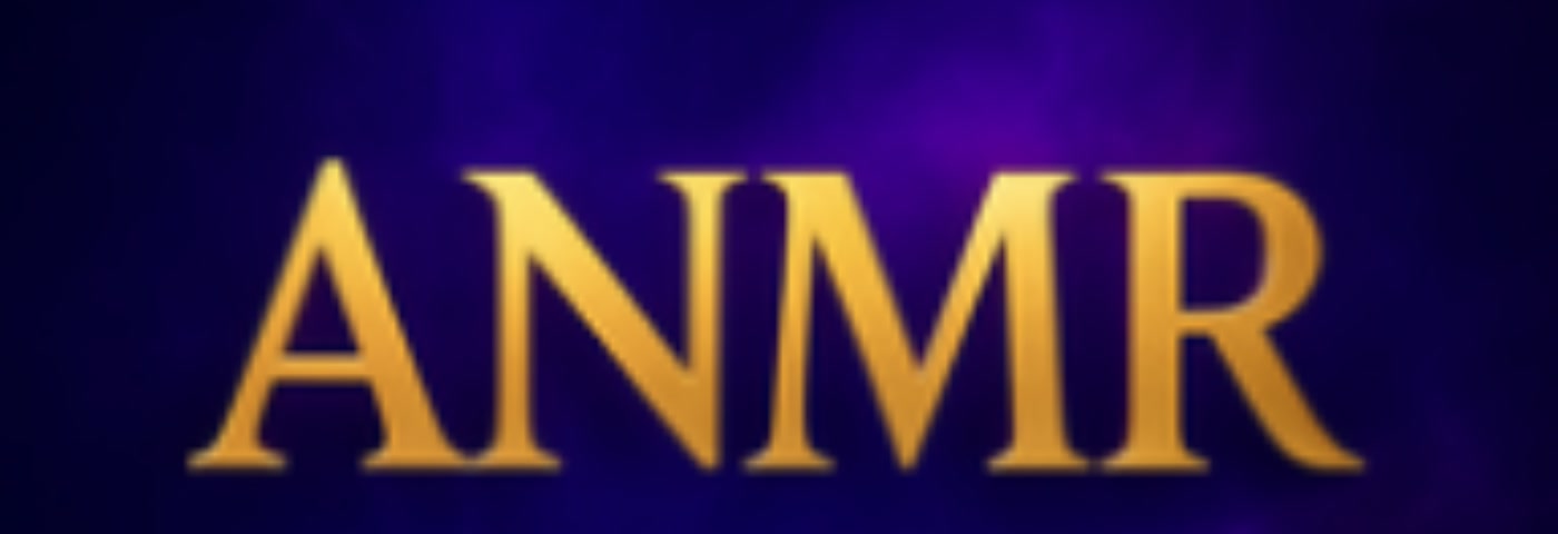 anmr - Fortnite