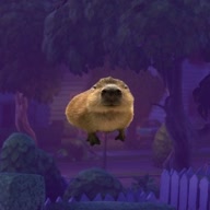capy - Fortnite