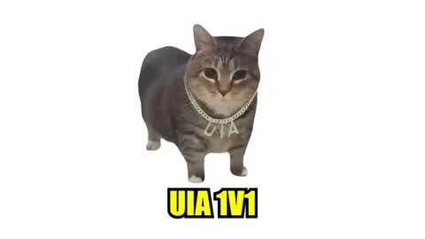 UIA CAT 1V1 0241-5887-4748 by ankerboi - Fortnite Creative Map Code ...