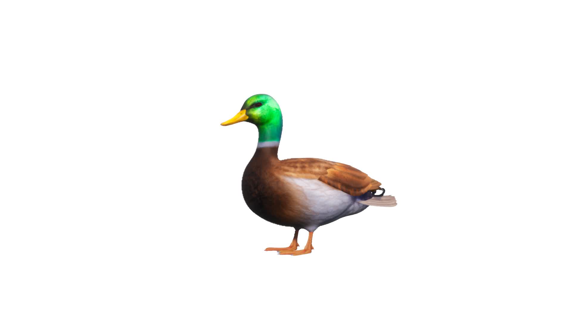 DUCK 9136-5650-4331 by pokeg - Fortnite Creative Map Code - Fortnite.GG