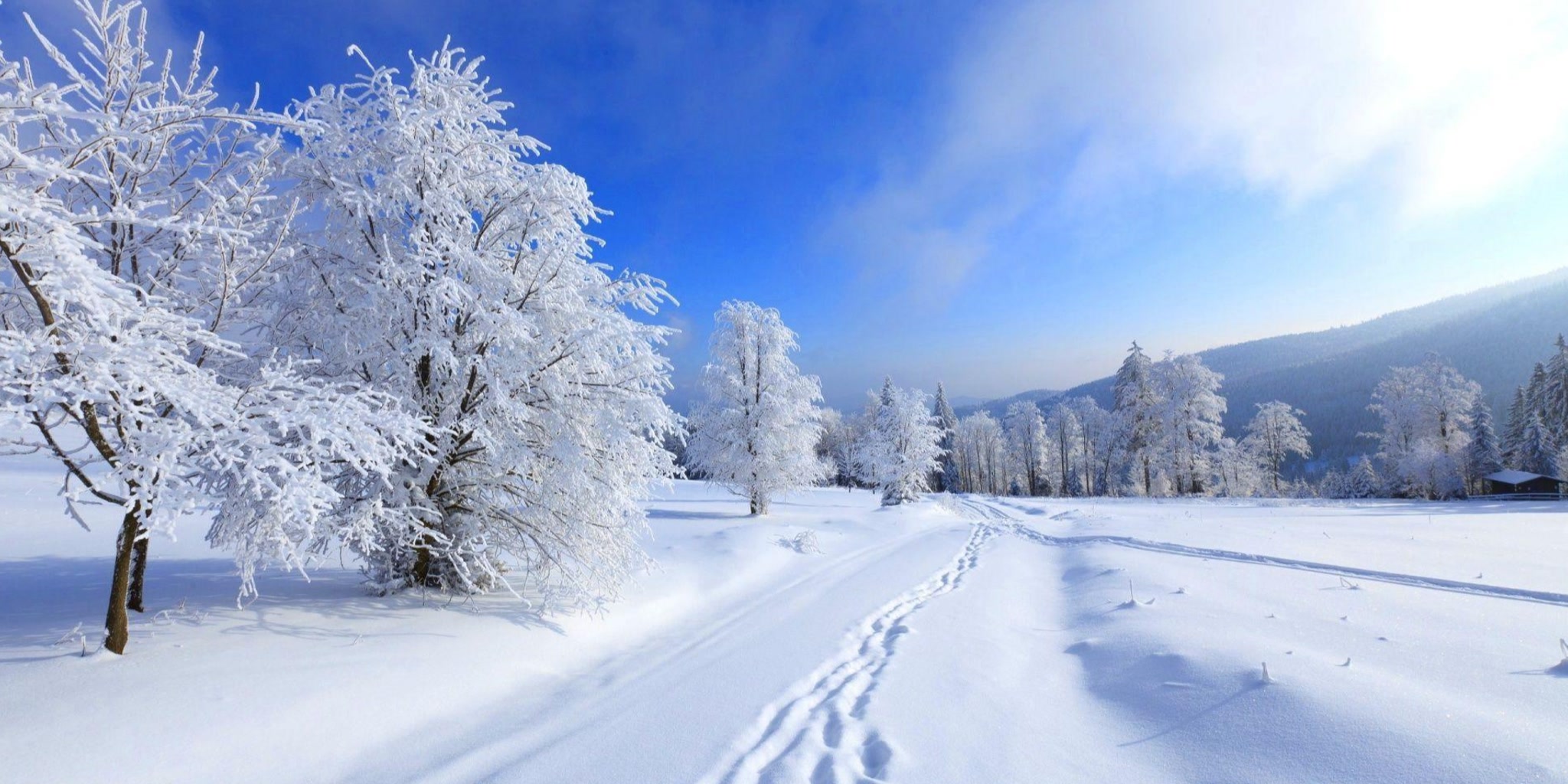Winter FPS 5767-7528-3724 by artichoke - Fortnite Creative Map Code ...