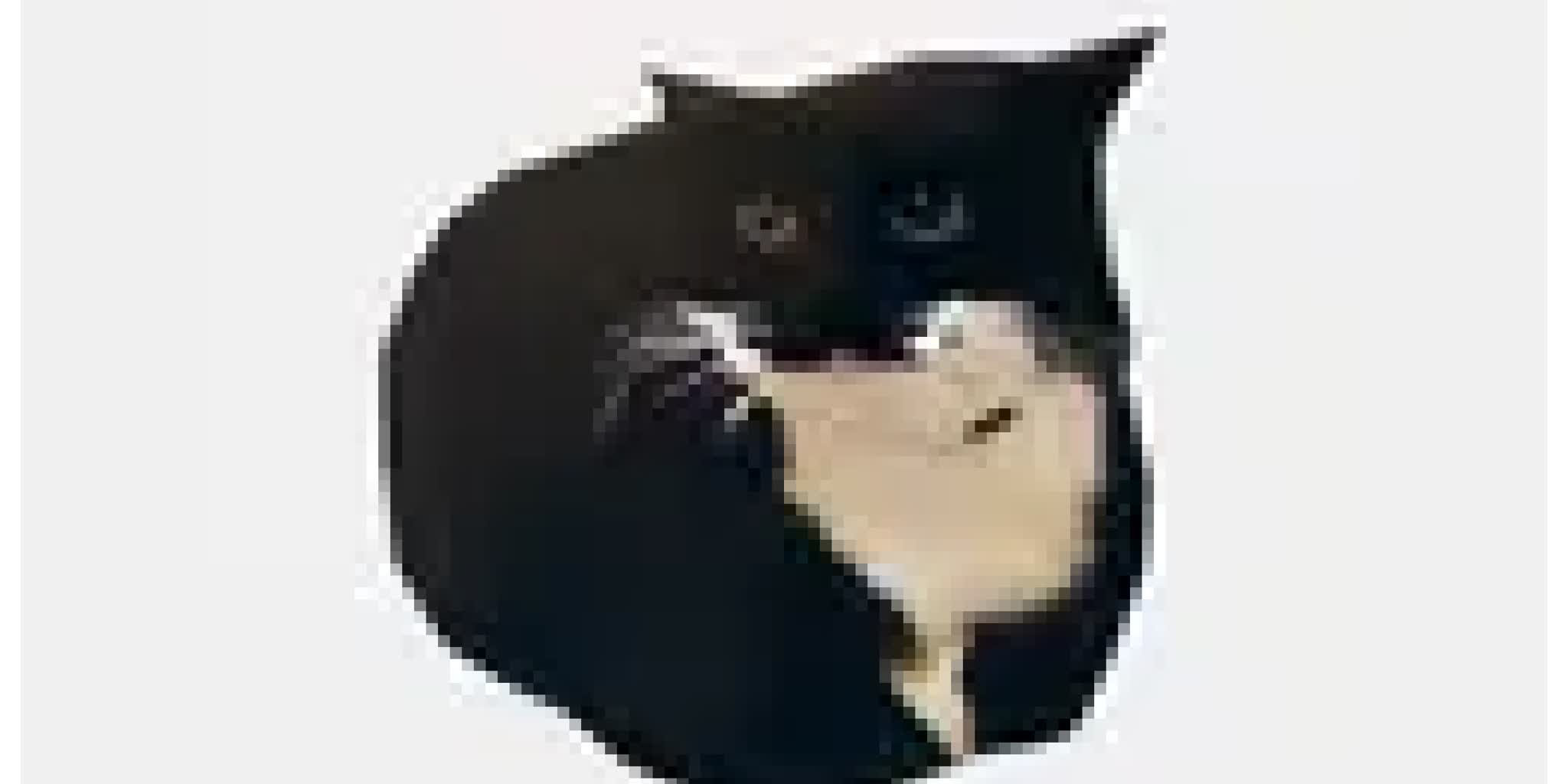 spinning cat 6045-6440-3168 by zunkz - Fortnite Creative Map Code ...