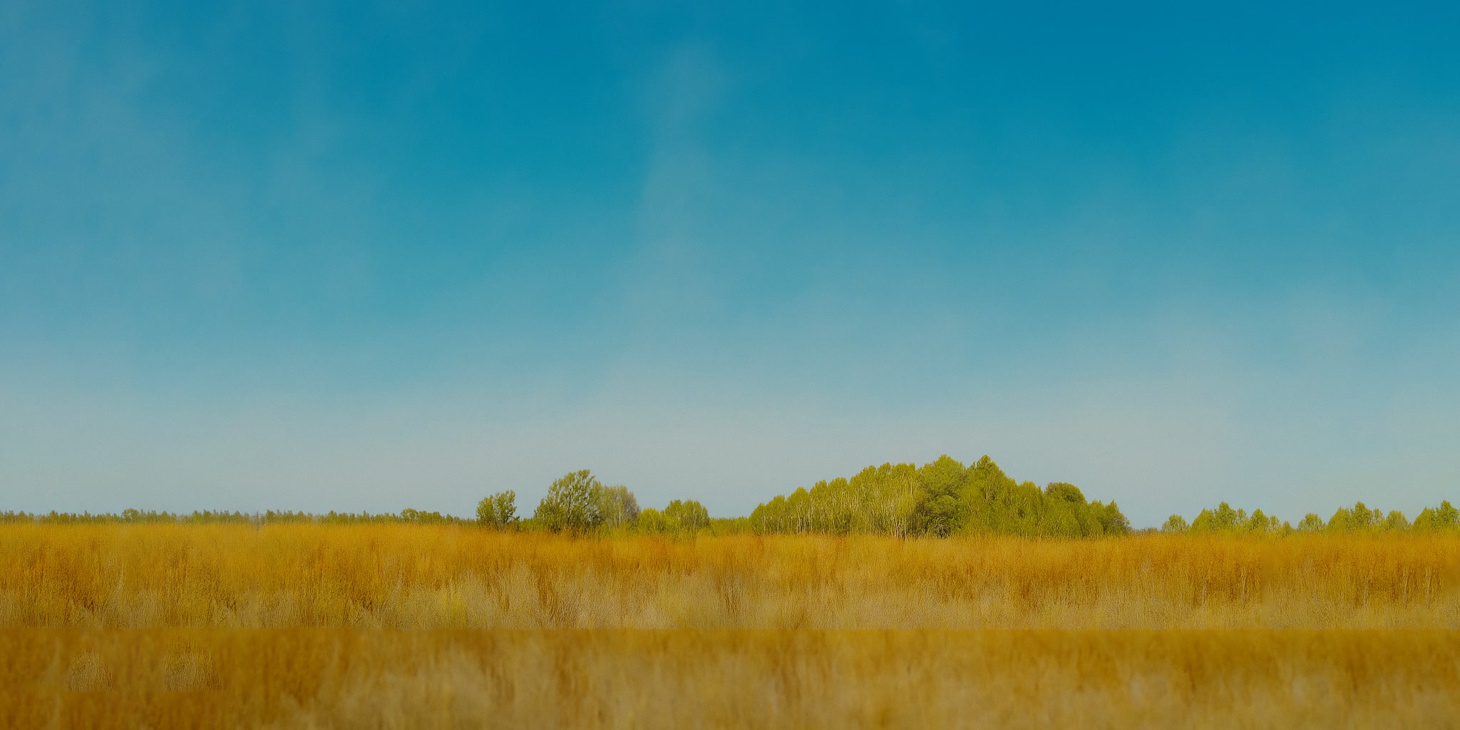 Crazy Red light Green light - Squid game 2861-7874-1847 by plum8 ...