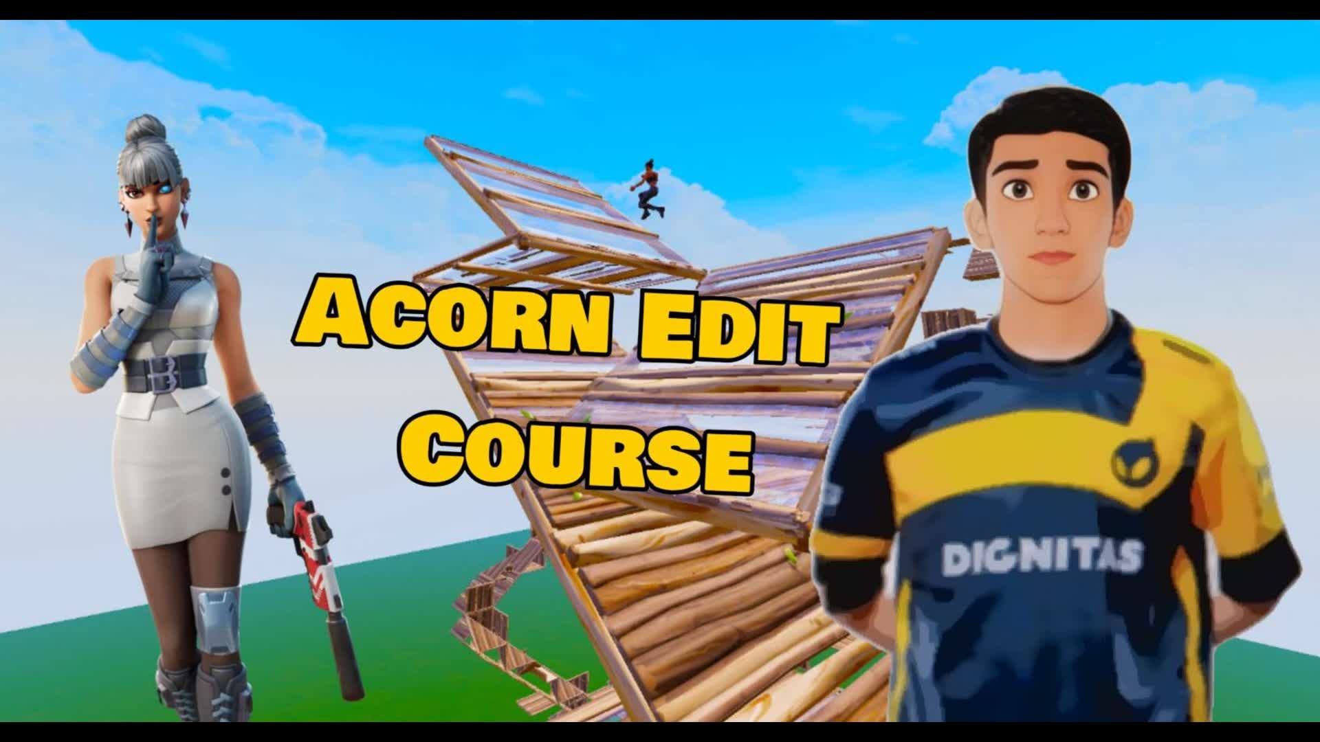 Acorn Edit course 9630-0645-2715 by nuntius - Fortnite Creative Map ...