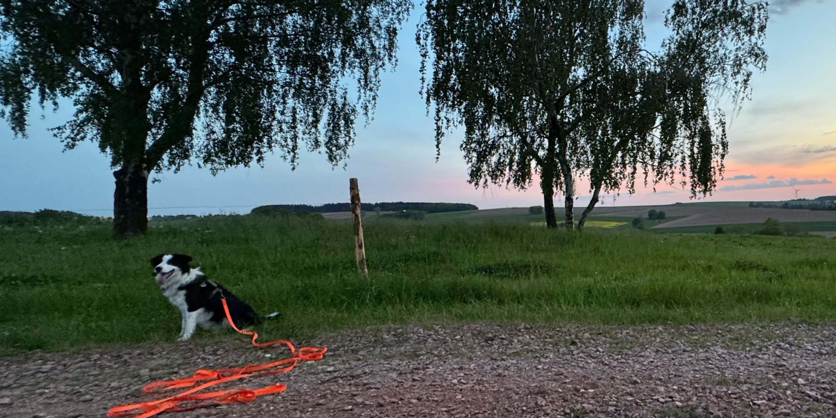 *XXL* PVP-BOXFIGHTS [100 PLAYERS] 8325-5585-5934 by bargeld - Fortnite ...