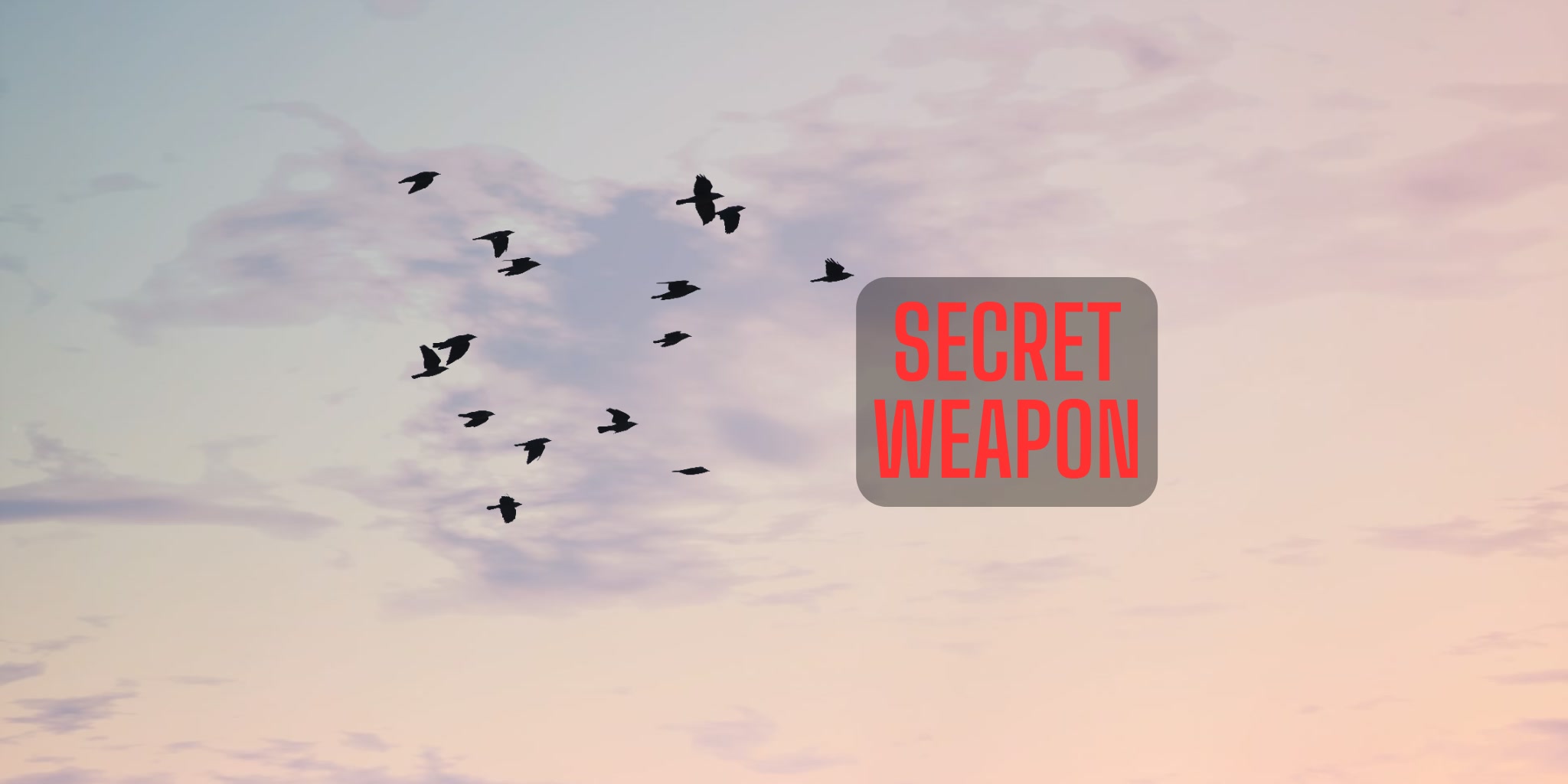 SkyRift Showdown Cloud Champions 1613-6473-6879 by shmikeyy - Fortnite Creative Map Code ...