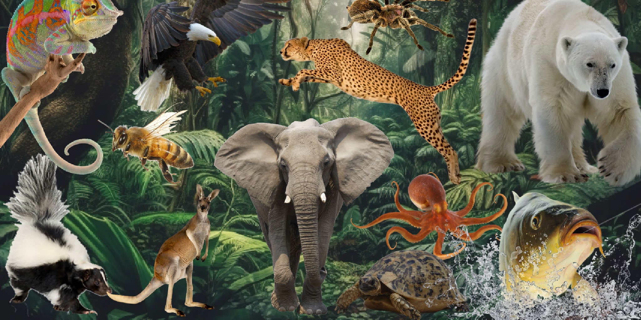 Animal Box PVP - Ranked 2589-9549-1093 by babyfacecro - Fortnite ...