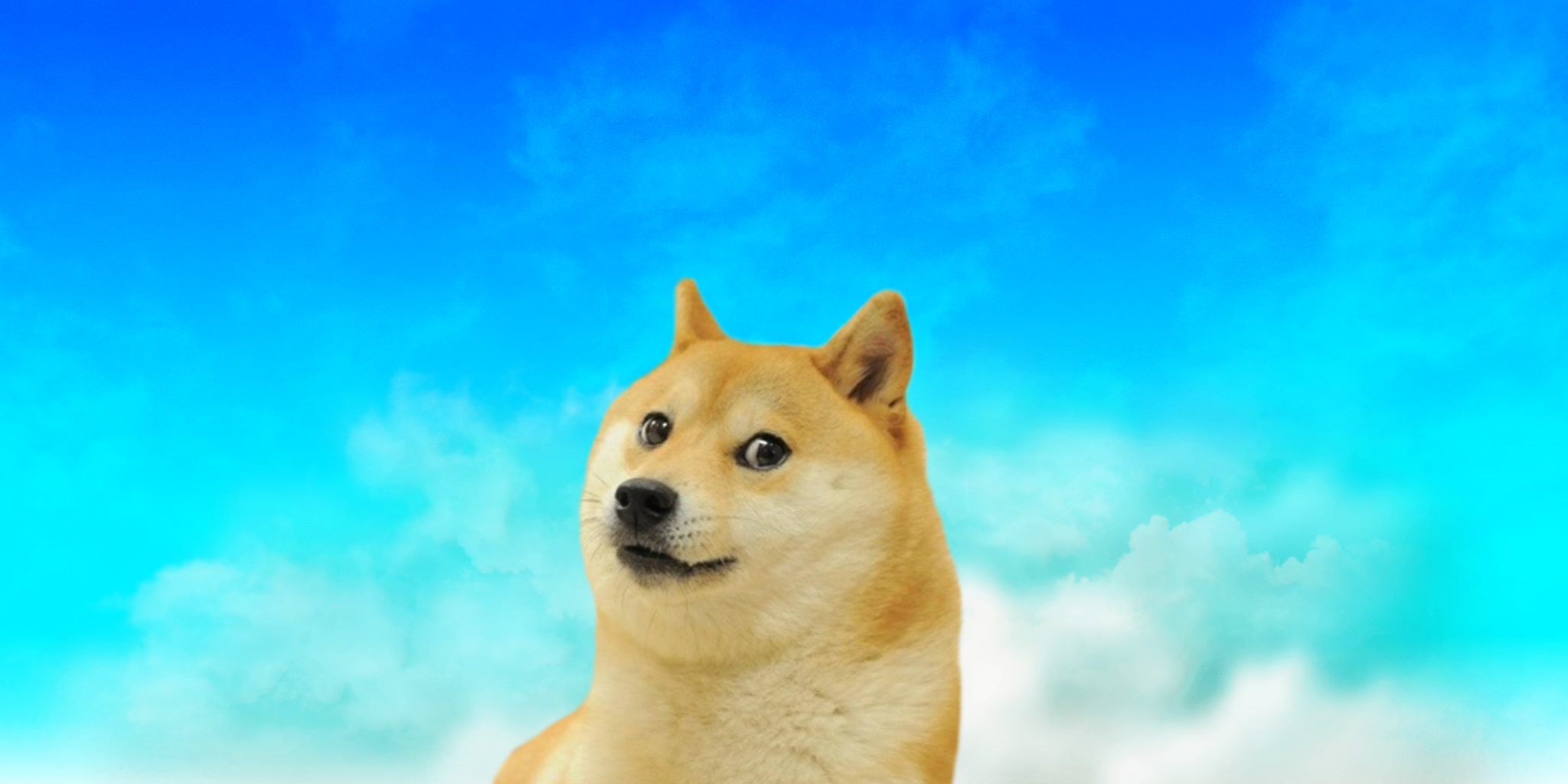 THE DOGE PILLARS! 4739-9255-7413 by modes - Fortnite Creative Map Code ...