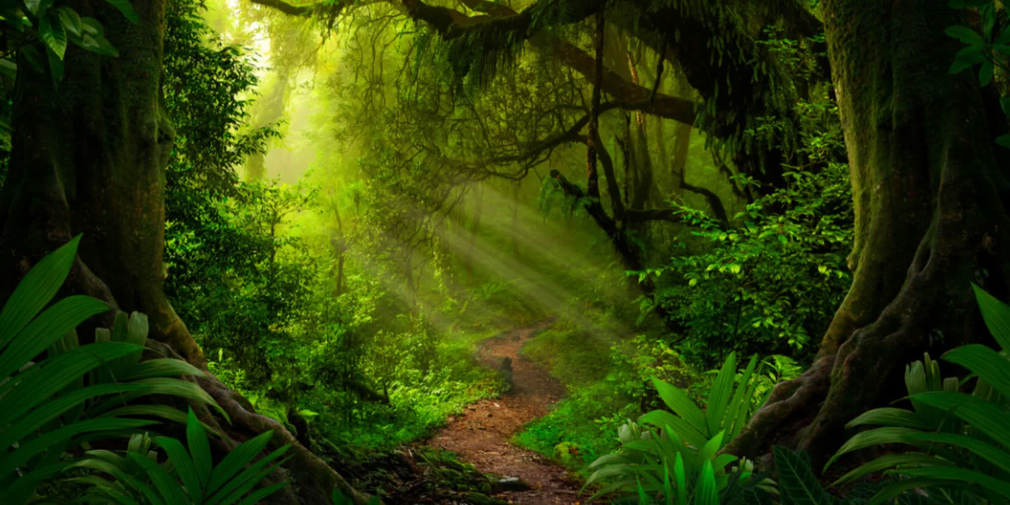 Jungle Gun Game 6685-9887-8419 by peytonyt - Fortnite Creative Map Code ...