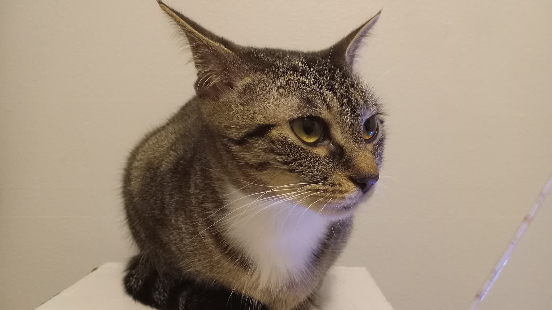 Capture the point 5330-1411-5775 by plaincloud - Fortnite Creative Map ...