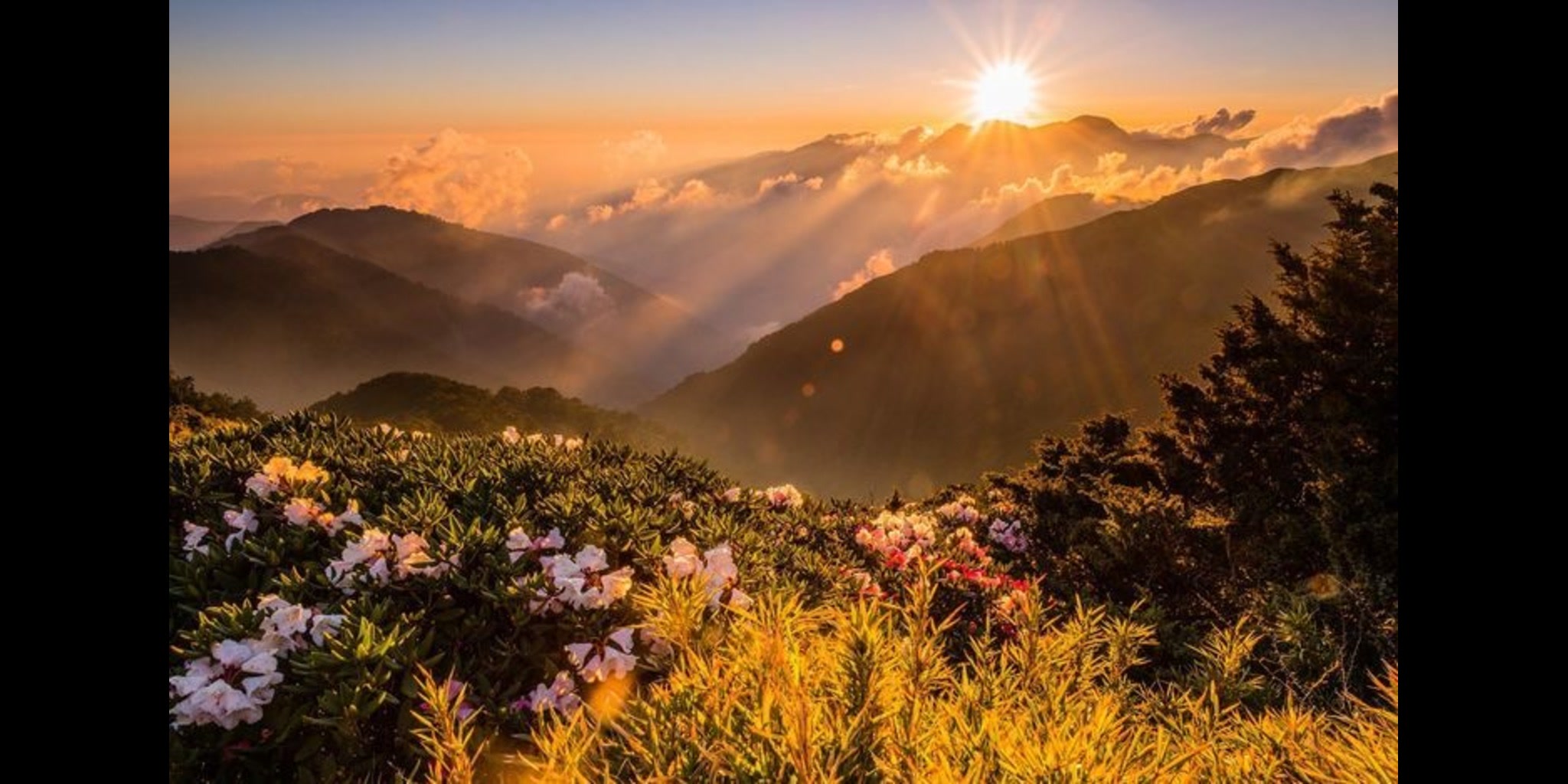 Ravens Hangout 5906-9150-9609 by ray-34 - Fortnite Creative Map Code ...