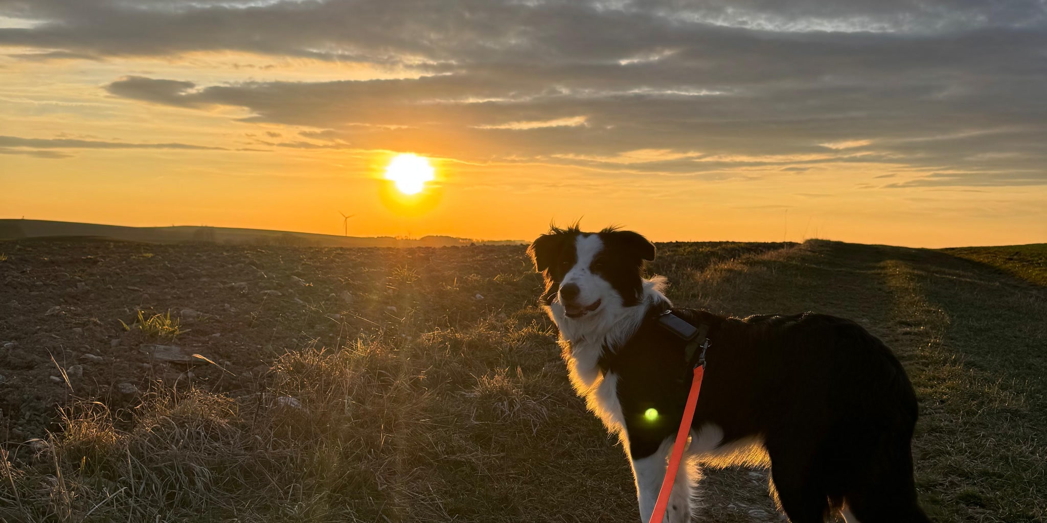 1v1 *PVP* BOXFIGHTS 📦 FREE FOR ALL [#1] 0200-1684-6004 by bargeld ...