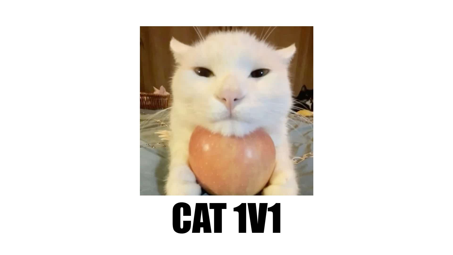 CAT 1V1 9322-1579-7761 by ankerboi - Fortnite Creative Map Code ...