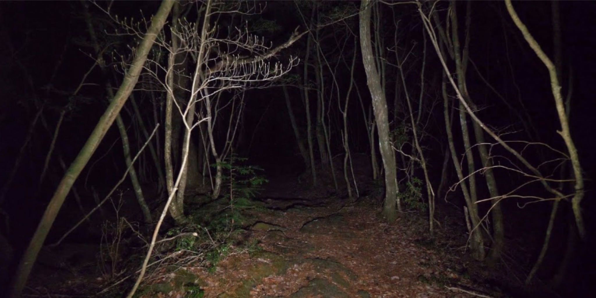 Night Duty 0831-0521-0257 by breadboy - Fortnite Creative Map Code - Fortnite.GG