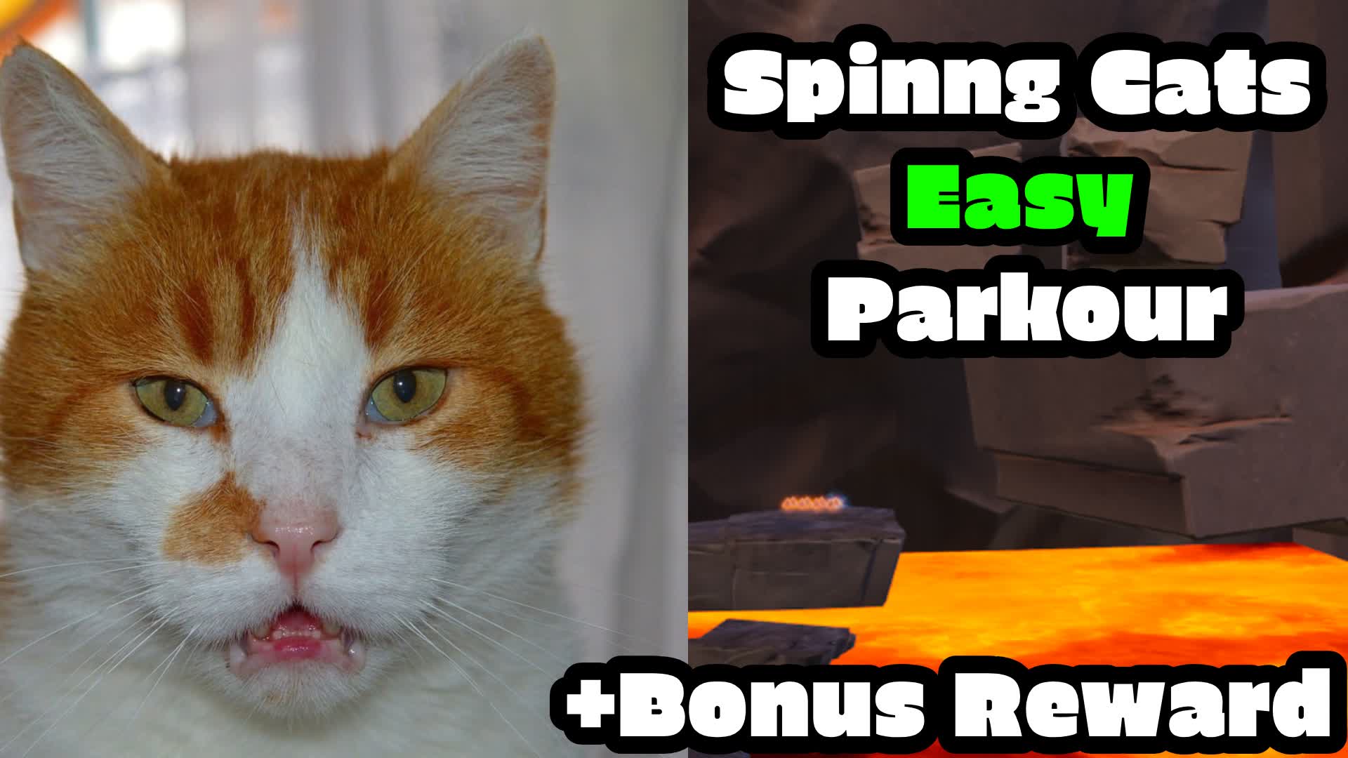 Spinning Cats Easy Parkour 5728-5181-3606 by mim1k - Fortnite Creative ...