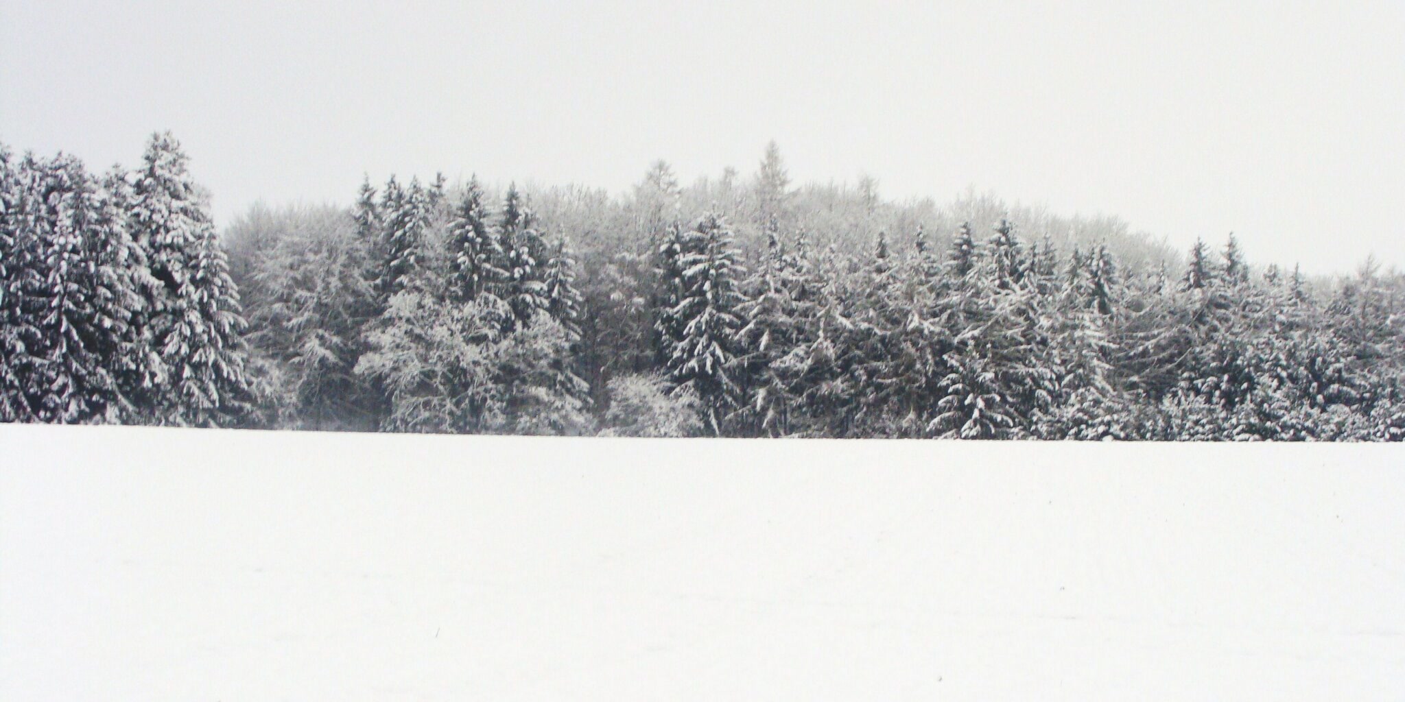 Snow Arena ️ 1995-1587-1252 by kingpin - Fortnite Creative Map Code ...