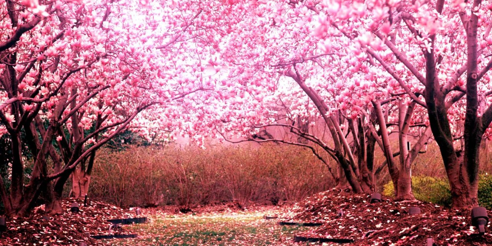 Panter replay's 2631-5514-6192 by panter11 - Fortnite Creative Map Code - Fortnite.GG