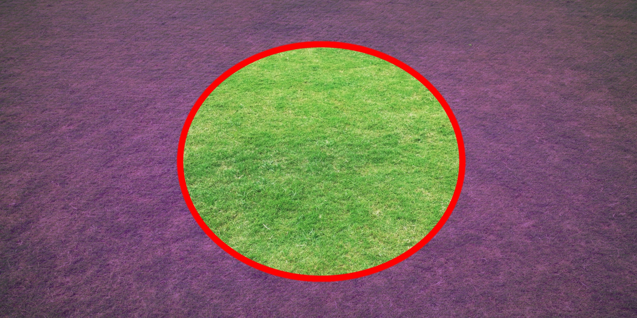 Mr Beast Last To Leave Circle Wins 7343-2978-1559 by sarisam - Fortnite ...