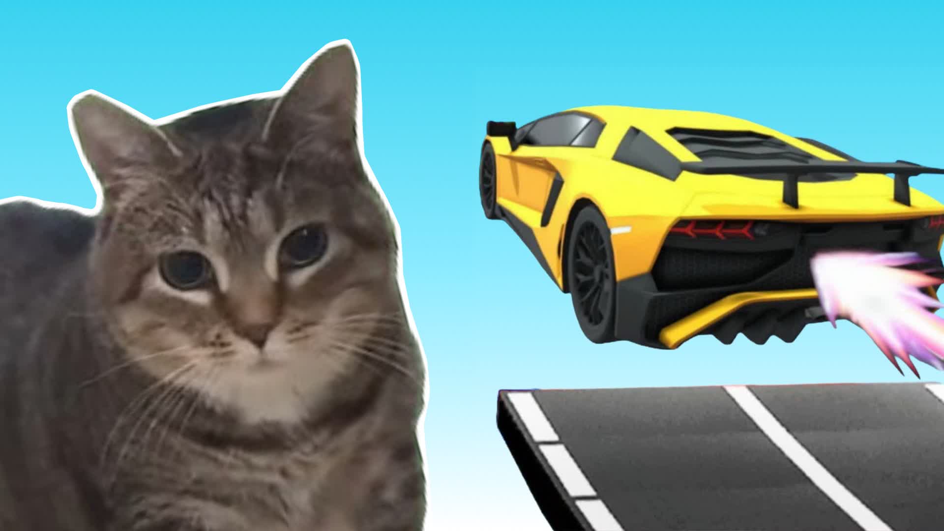 Cat Mega Ramp 7133-9996-5842 by pdgames - Fortnite Creative Map Code ...